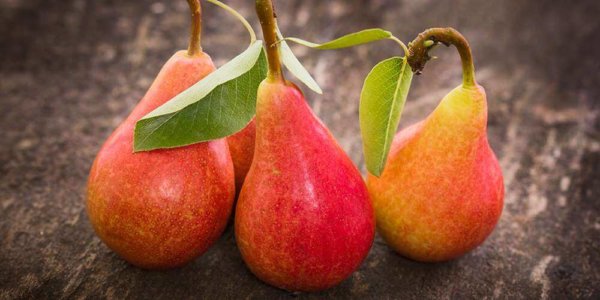 20 fruits high in fiber – Healthsomeness