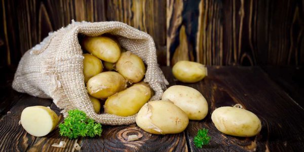 21 vegetables high in fiber – Healthsomeness