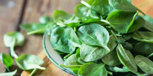 28 green vegetables that are great for your health - June 2020