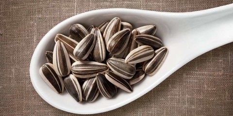 15 nuts and seeds high in protein – Healthsomeness