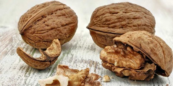 15 nuts and seeds high in protein – Healthsomeness