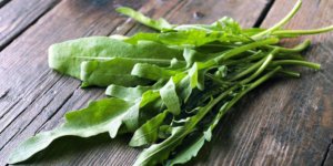 15 green leafy vegetables that you should eat more of – Healthsomeness