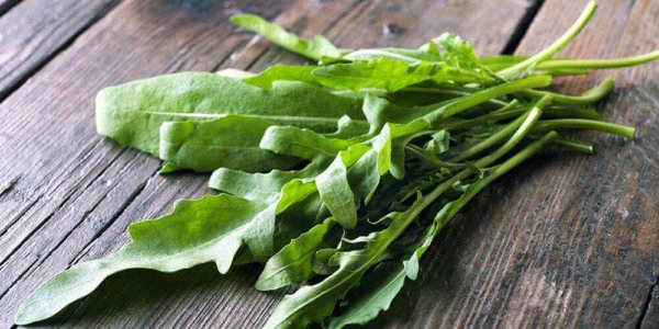 27 vegetables high in calcium – Healthsomeness