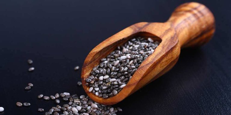 15 nuts and seeds high in protein – Healthsomeness