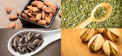 15 nuts and seeds high in protein – Healthsomeness