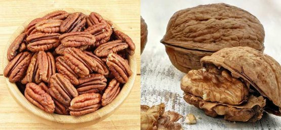 Walnuts vs pecans – which nut is better? – Healthsomeness